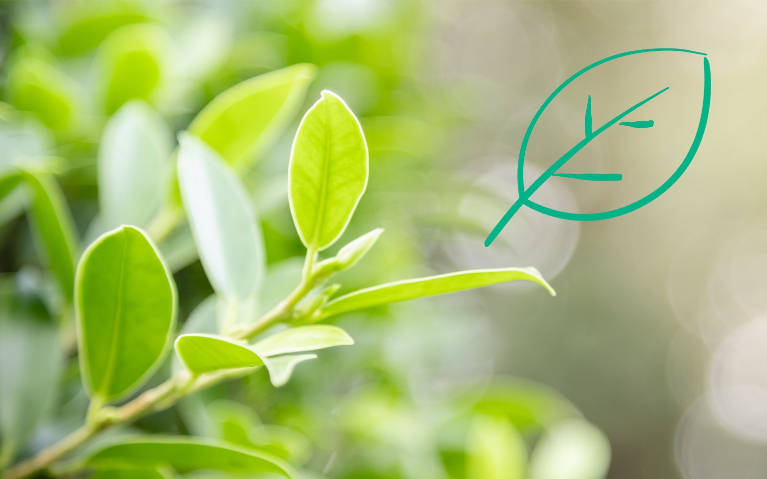 Packaging - Digital environmental labelling